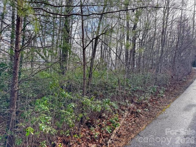 9999 Rainbow Falls Trail