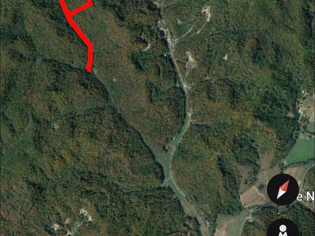 9999 State Hwy 1304