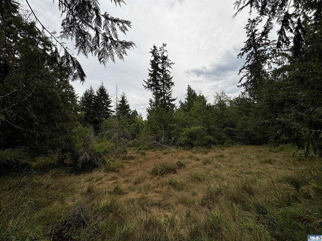 9999 S Bagley St, Port Angeles, WA 98362