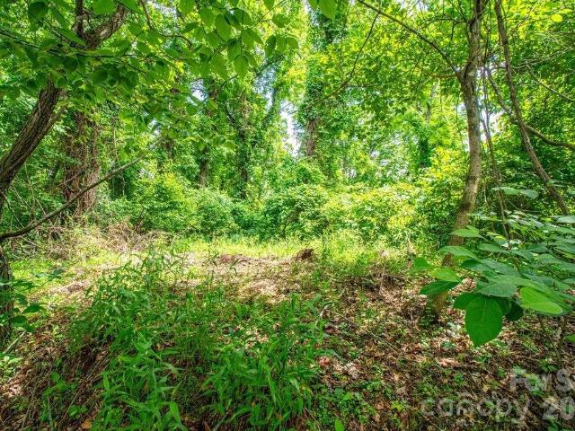 9999 Sandy Mush Creek Road