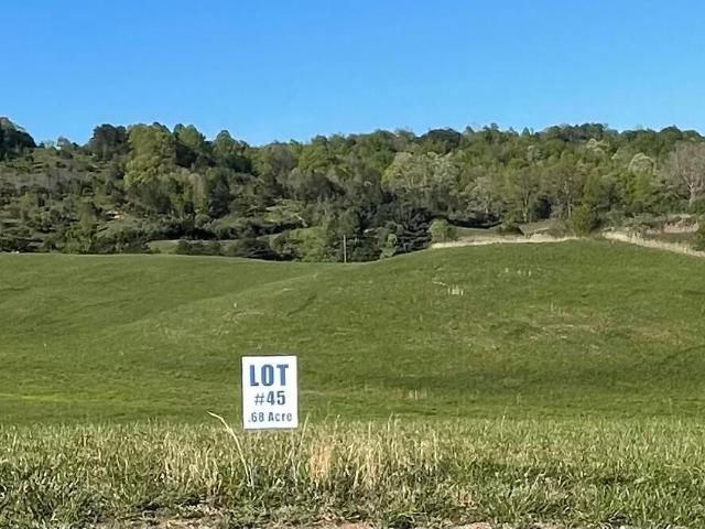 9999 Shiner Hill Phase II Lot #45