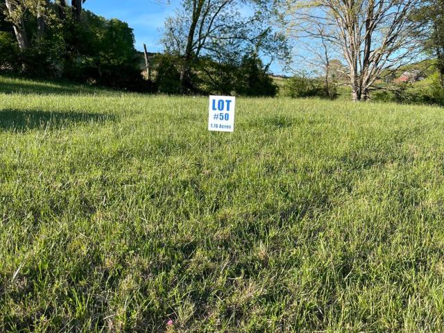 9999 Shiner Hill Phase II Lot #50