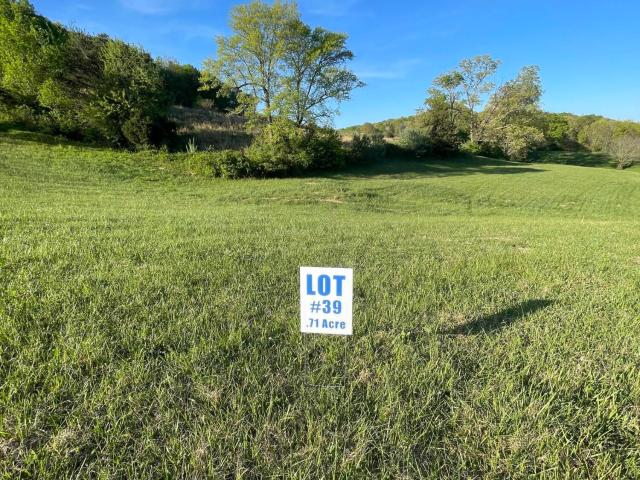 9999 Shiner Hill Phase II Lot #39