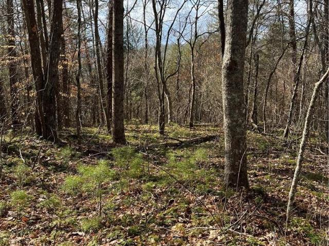 999 B Sams Crossing, Marshall, NC 28753 | MLS #3935