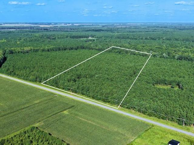 999 Boyd Swamp Rd, Pinetown, NC 27865