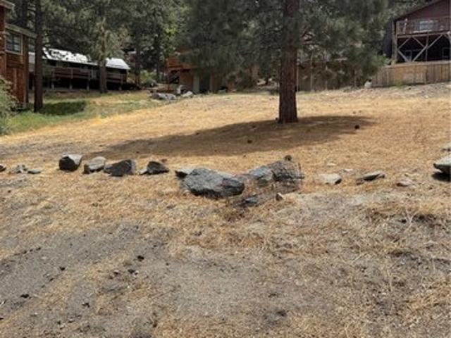 999 Buckthorn Rd, Wrightwood, CA 92397