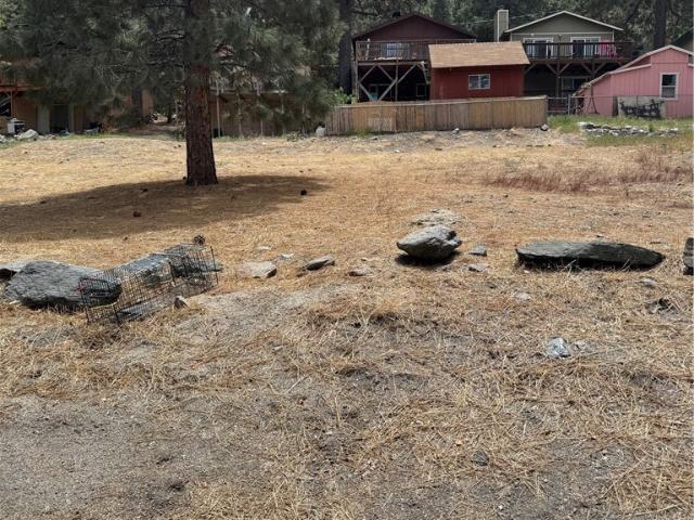 999 Buckthorn Rd, Wrightwood, CA 92397 | MLS #HD25273