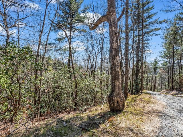 999 Bulling Creek Drive