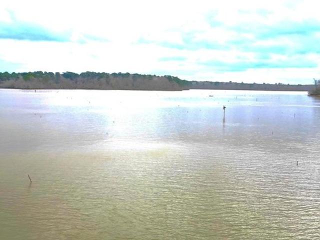999 Davidson Rd, Hemphill, TX 75948