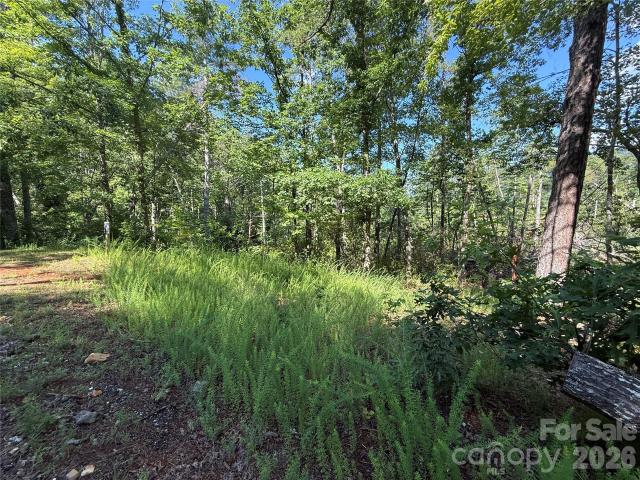 999 Fox Ridge Trail # 7