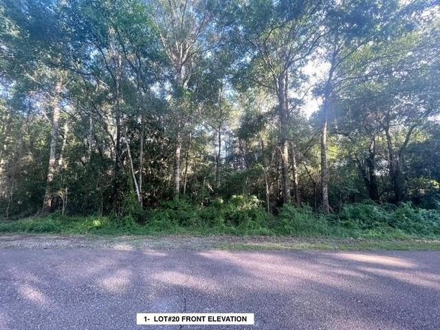 999 Fairway Dr Lot 20, Abita Springs, LA 70420