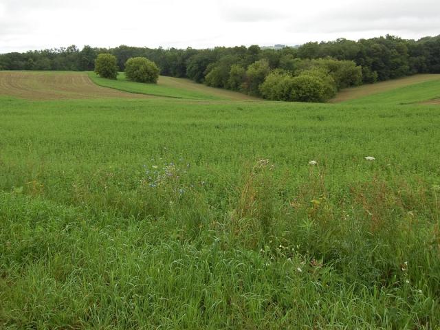999 Halverson Ridge Road
