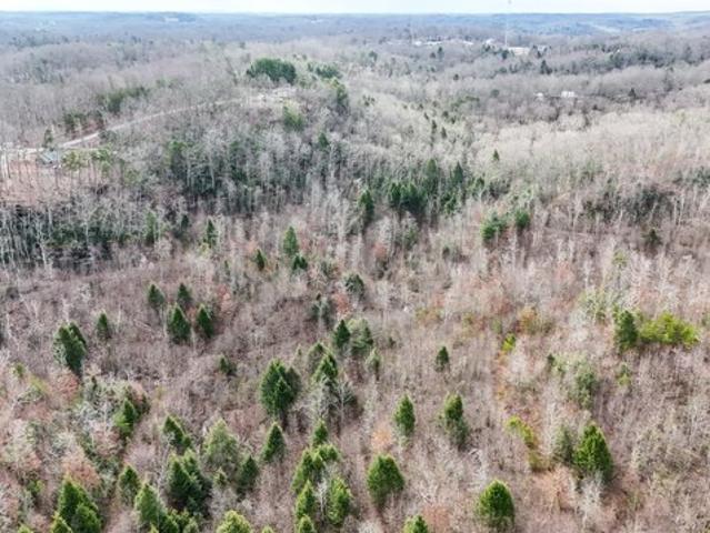 999 Jervis Rd, London, KY 40741
