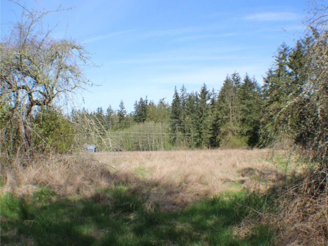 999 Oso Vista Court