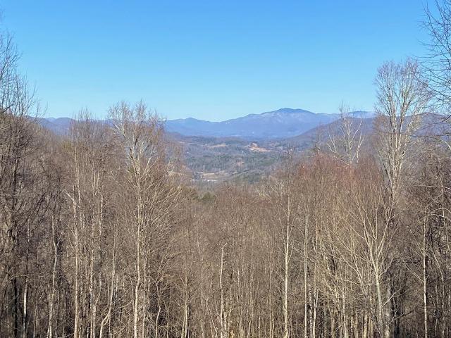 999 Red Wolf Ln, Unit 48, Burnsville, NC 28714 | MLS #4277