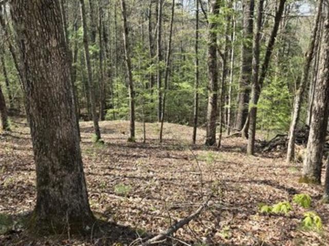 999 Victory Falls Rd Lot 11, Campton, KY 41301