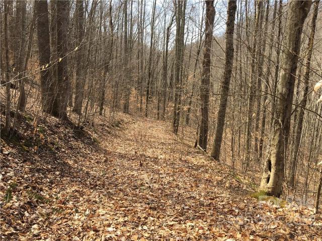 99 57 Fern Hill Dr, Mars Hill, NC 28754 | MLS #3855 | Compass