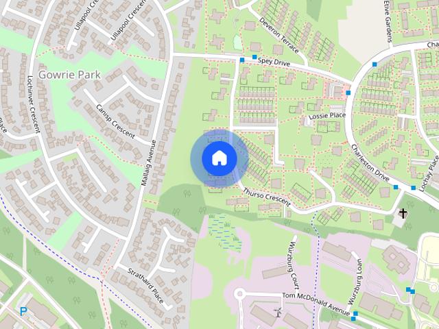 99 Thurso Cresent, Dundee