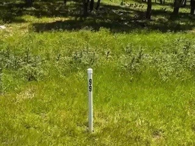 99 Axis Circle