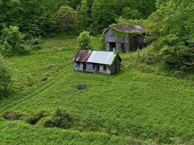 99 Cold Fork Rd, Manchester, KY 40962