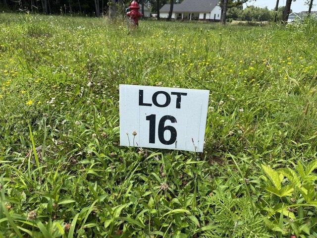 99 Ellie Ct, Mayfield, KY 42066