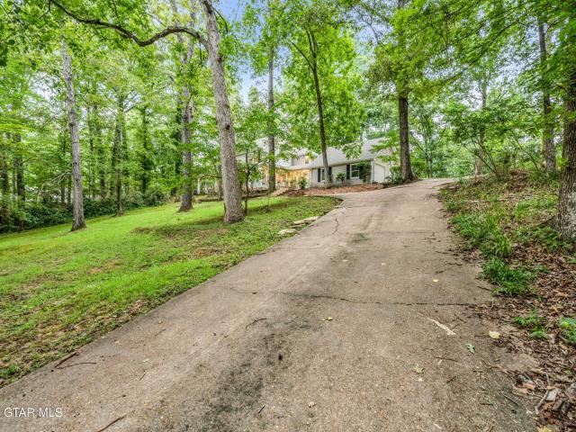 99 Fernwood