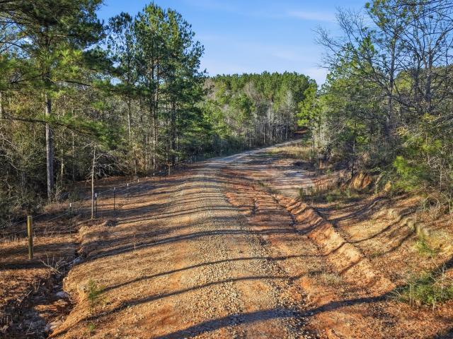 99 Firefox Ln, Poplarville, MS 39470 | MLS #4137