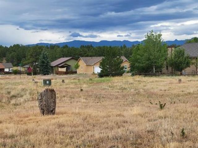 99 Fireside St, Pagosa Springs, CO 81147