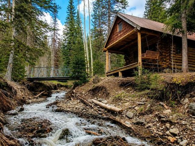 99 Forest Ln, Placerville, CO 81430