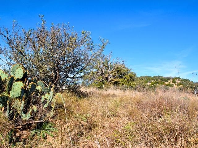 99 Grove Ct, Unit 3, Fredericksburg, TX 78624 | MLS #99292