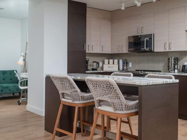 99 Kneeland Street 1 Bedroom Apartment for Rent at 99 Kneeland St #1291, Boston, MA 02111 Downtown Boston