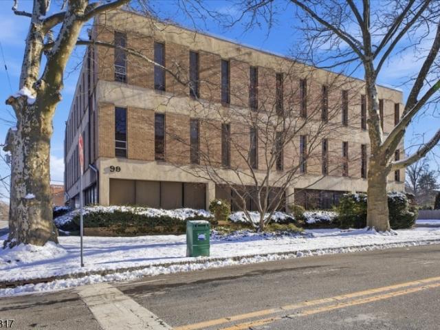 99 Morris Ave Unit 204