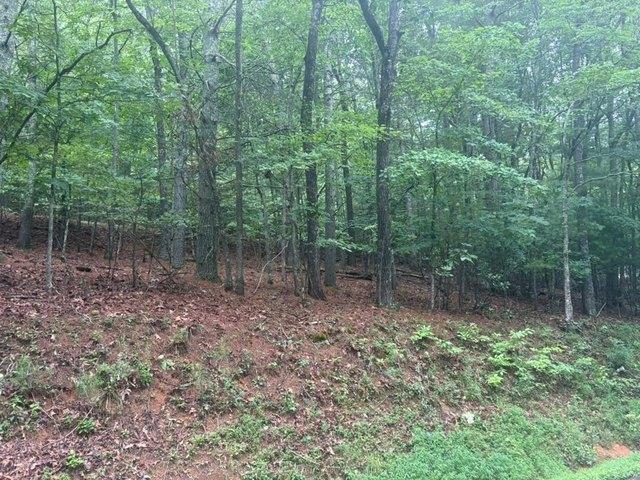99 Nelson Cir Lot 3, Blairsville, GA 30512