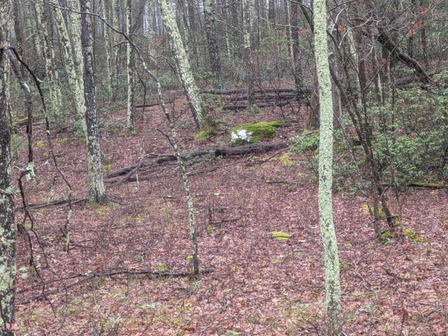 99 Otens Rd, Greenfield Park, NY 12435 | MLS #20261