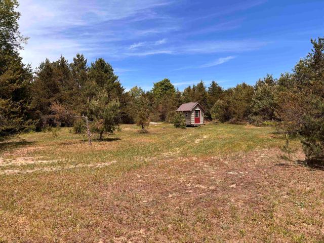 99 Pine Tree Lane