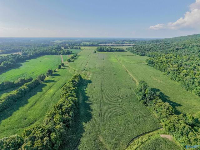 99AC Simmons Lane
