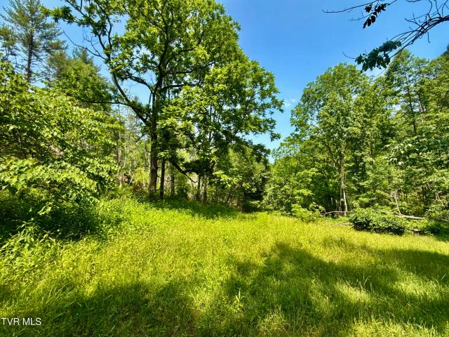 99/Ac Tbd Nw Of Copperhead Hollow Road