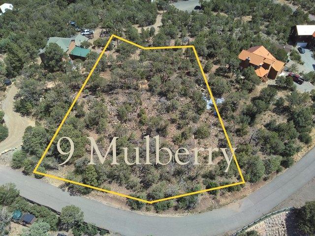 9 Mulberry Loop, Cedar Crest, NM 87008