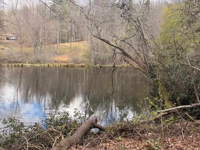9 Mill Creek Hollow