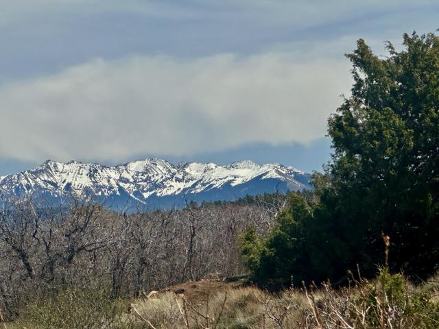 9 N Gurley Reserve, Norwood, CO 81423 | MLS #44400 | Compass
