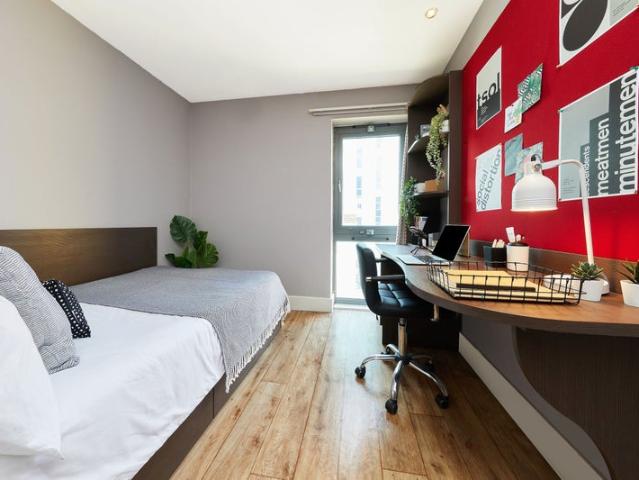 9% OFF Dashwood Studios Bronze Studio 44 Weeks