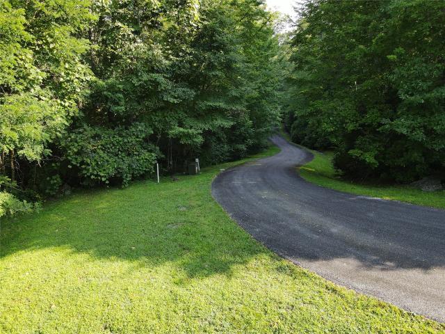 9 Old Forester Trail
