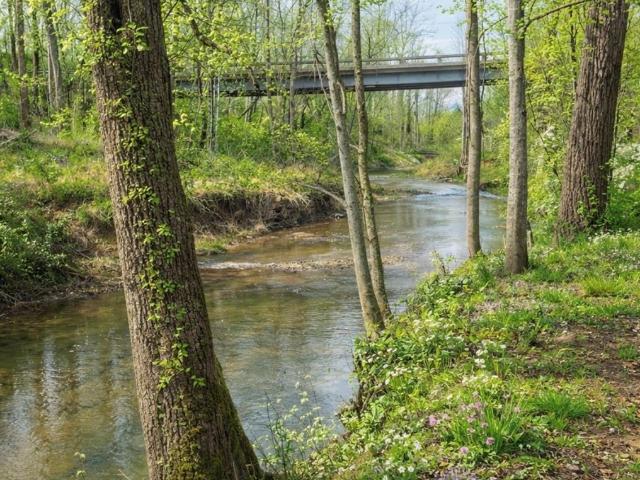 9 Old Mill Ln, Weaverville, NC 28787 | MLS #4347
