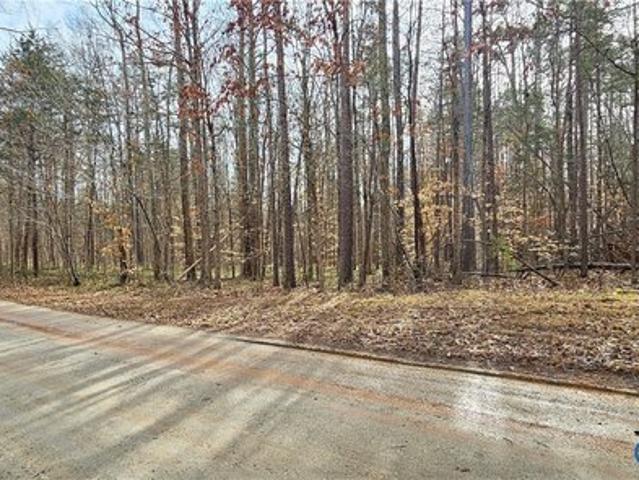 9 A 61 Springfield Rd, Meherrin, VA 23954