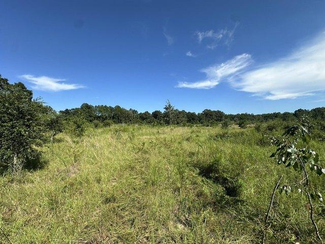 9 Ac Munson Highway Rd, Milton, FL 32570