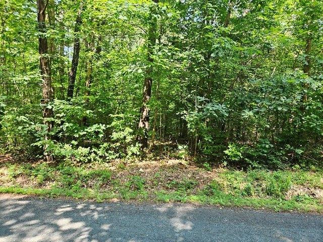 9 Ac Childress, Dillwyn, VA 23936