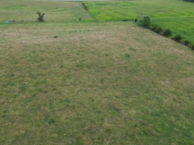 9 Acres 178th Street
