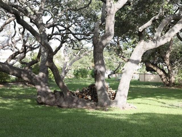 9 Bahama, Rockport, TX 78382