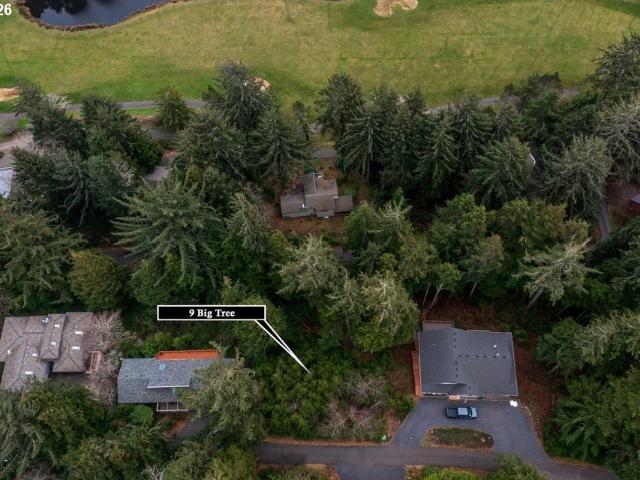 9 Big Tree RD