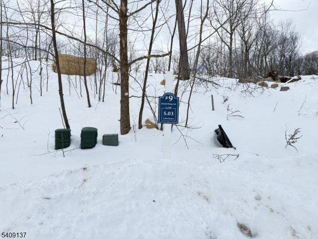 9 Bristol Ridge Rd